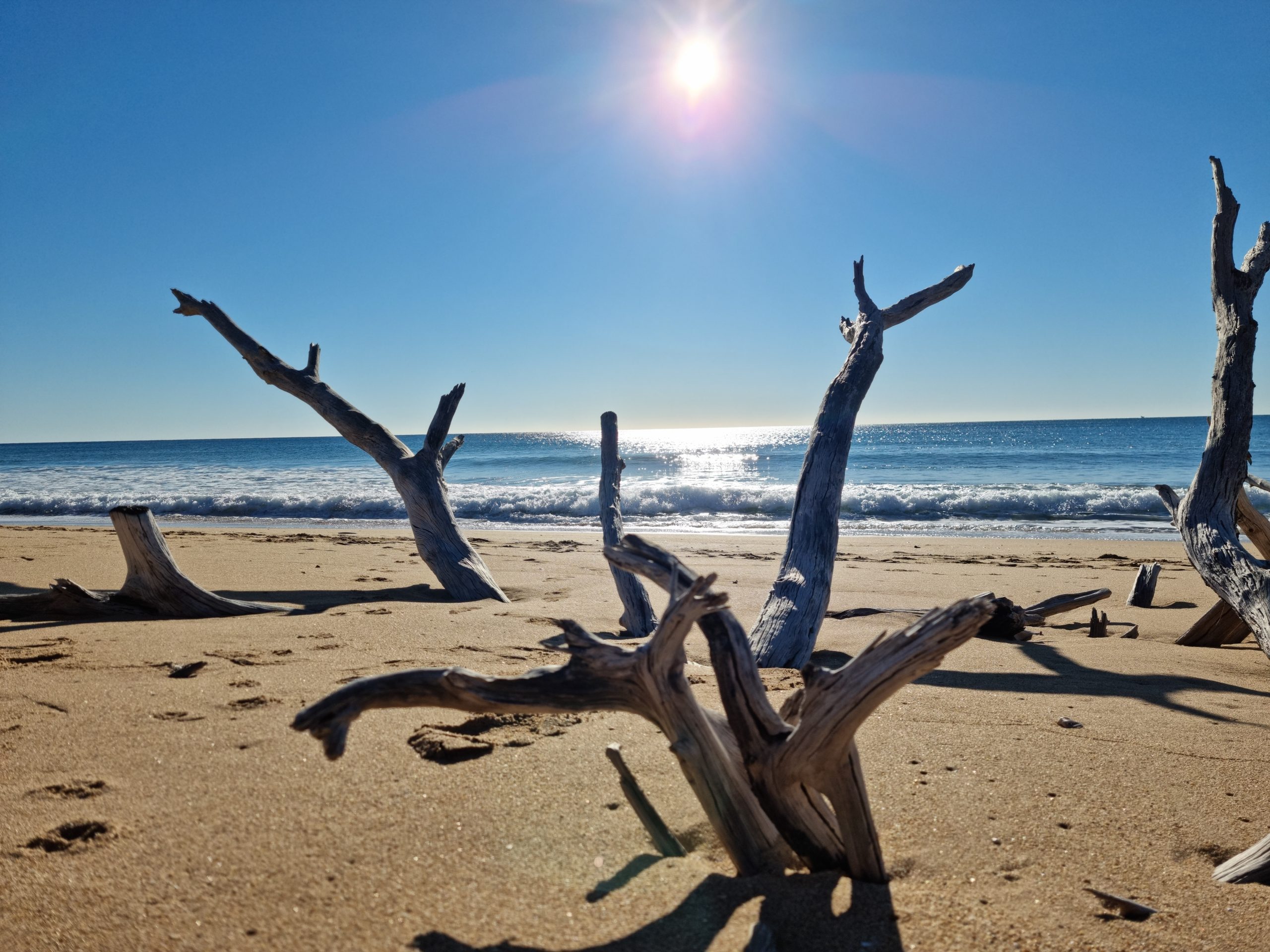 Gladstone Business Directory | Business Listings for businesses ...